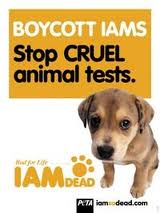 Roger Biduk - IAMS and Proctor and Gamble Got Caught: Animal Cruelty